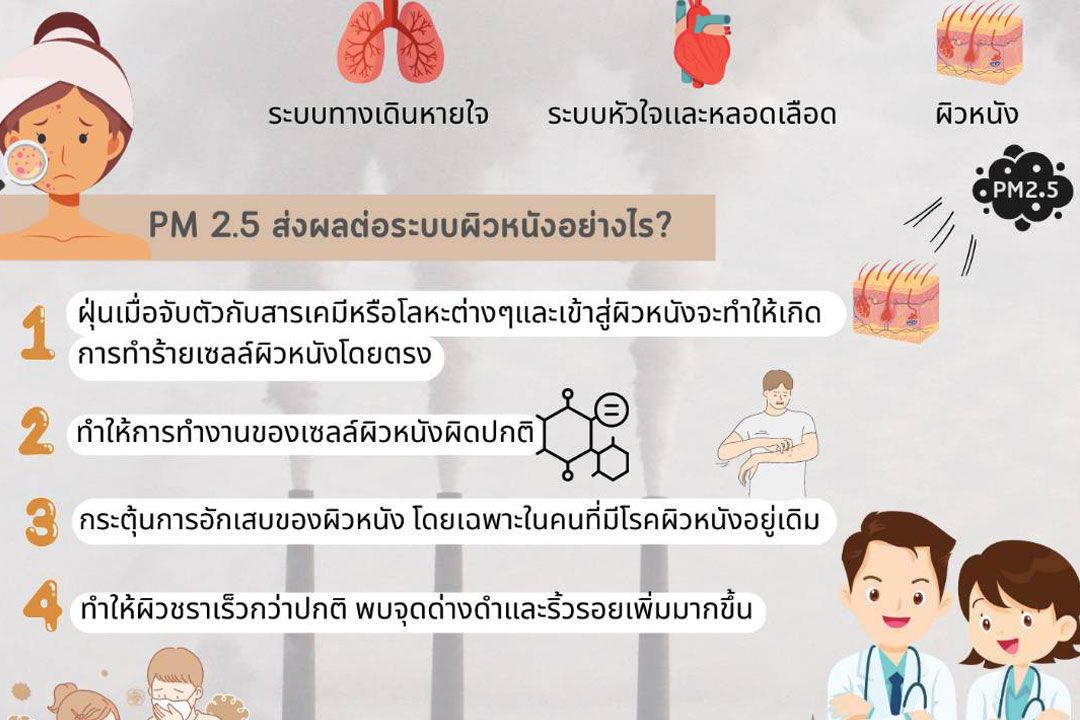 ข่าว Like สาระ - แพทย์เตือน PM 2.5 มีผลกระทบต่อ 'ระบบทางเดินหายใจ-หัวใจ-หลอดเลือด-ผิวหนัง'