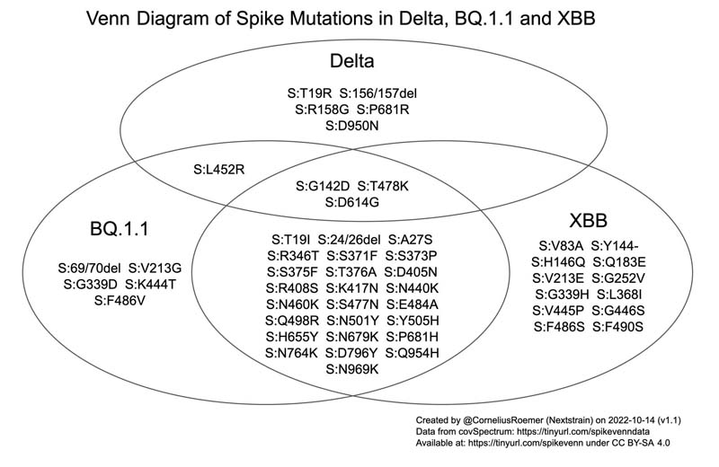 ในประเทศ - ถอดรหัสหนามสไปค์!จับตา XBB - BQ.1.1 ผสมกันได้ หนีภูมิคุ้มกัน ติดเชื้อสูงขึ้น