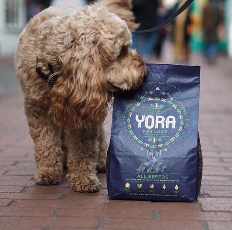โลกธุรกิจ - เปิดตัว YORA อาหารสัตว์เลี้ยงจากอังกฤษ ผลิตจากโปรตีนแมลง ...