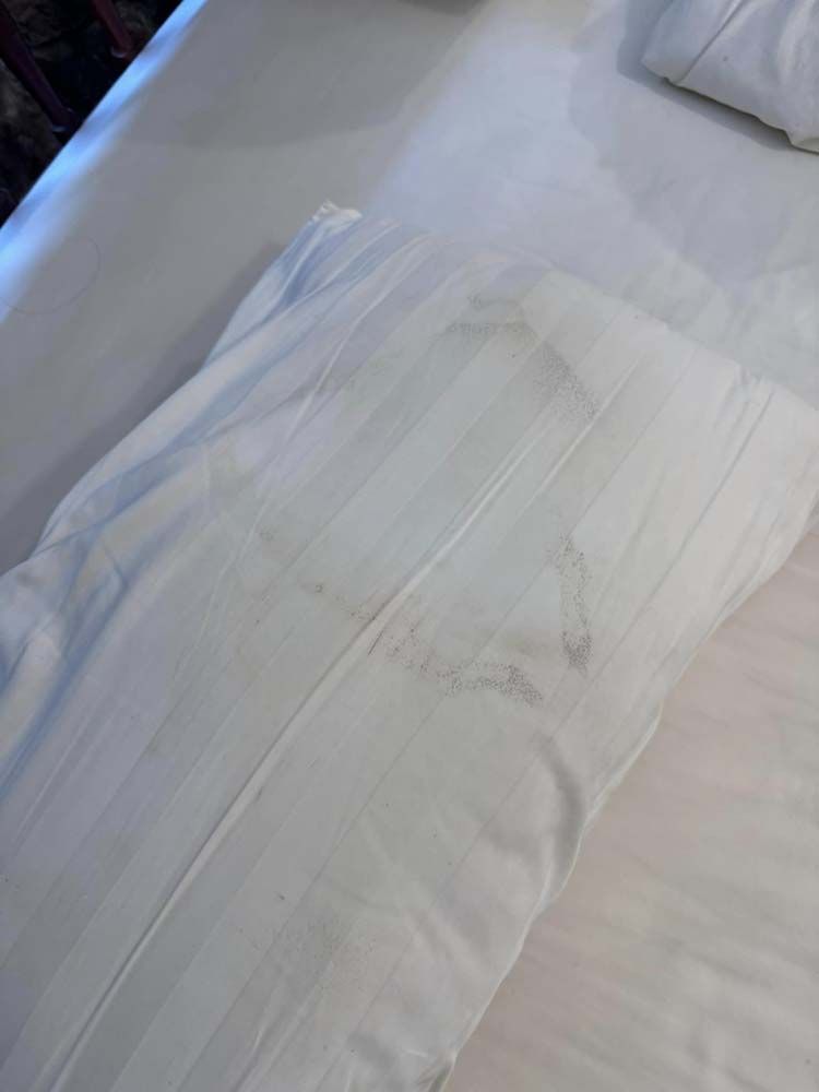 ข่าว Like สาระ - อื้อหืม! สาวรีวิวที่พักในเกาะดัง คืนเกือบ 5 พันบาท ได้ ...