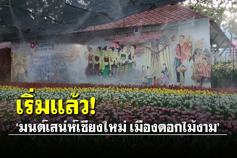 ข่าว Like สาระ เริ่มแล้ว มนต์เสน่ห์เชียงใหม่ เมืองดอกไม้งาม