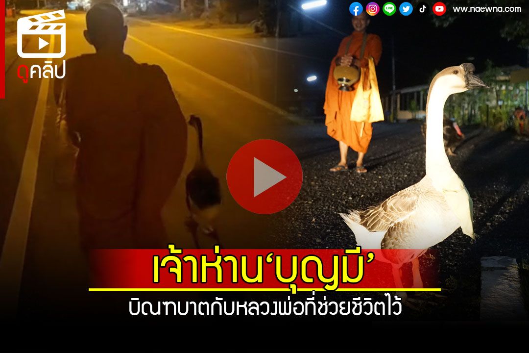 แนวหน้า Channel - (คลิป) 'เจ้าห่านบุญมี'ออกบิณฑบาตกับหลวงพ่อ ตอบแทน ...