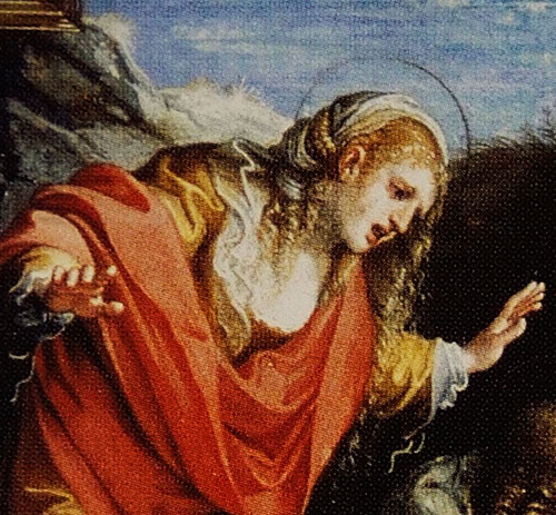 ผู้หญิง - แหวกฟ้าหาฝัน : Pieta ใน Palazzo Barberini